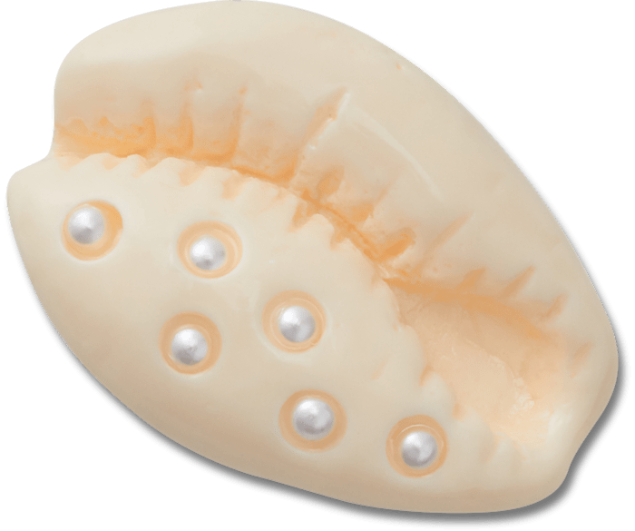 Pearl Puka Shell Jibbitz Charm | Crocs Malaysia